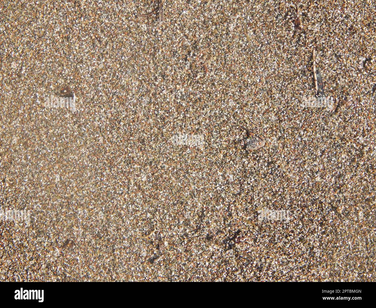 Texture natural stone masonry and paving Stock Photo - Alamy