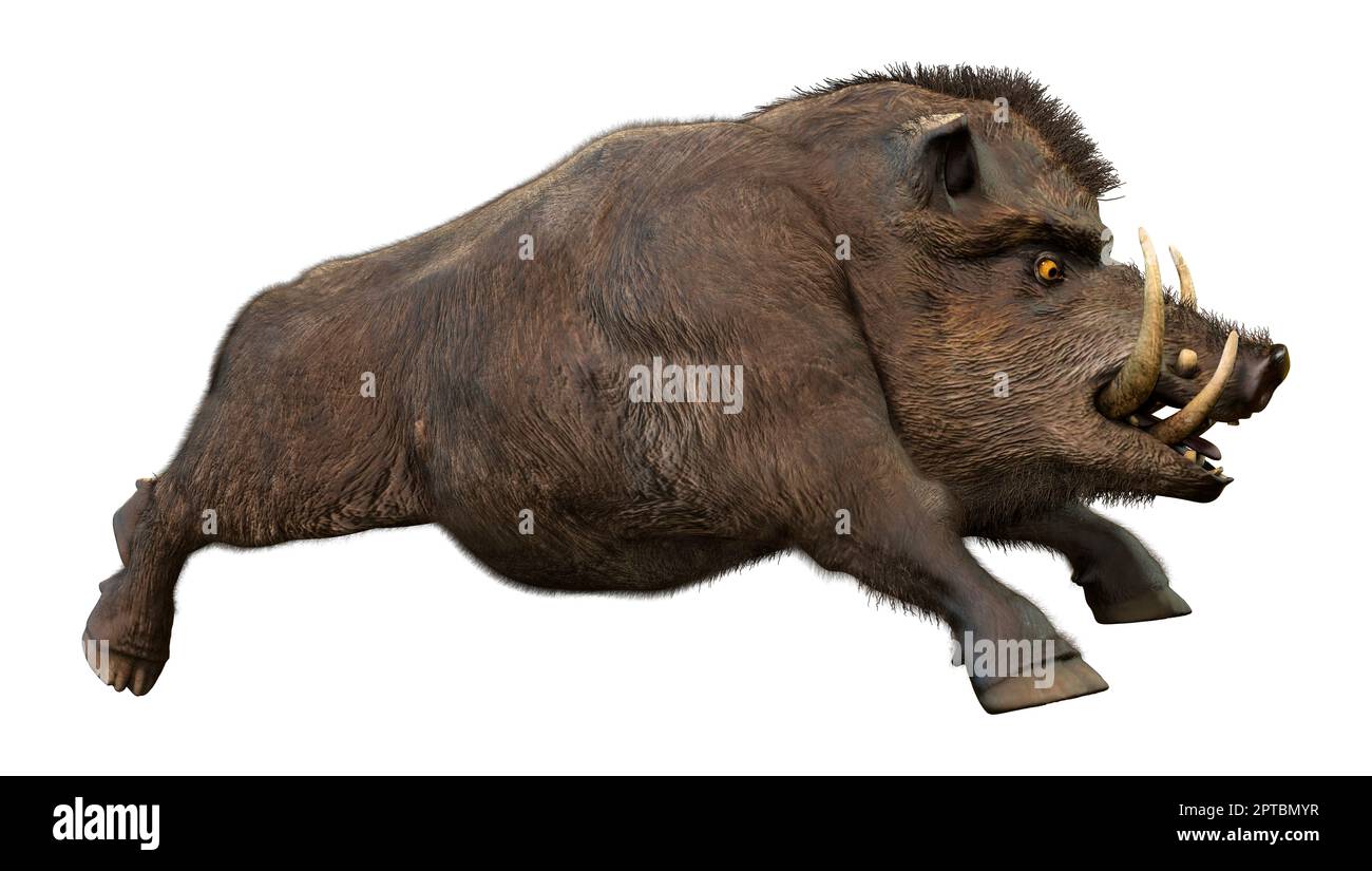 3D rendering of a wild boar isolated on white background Stock Photo ...