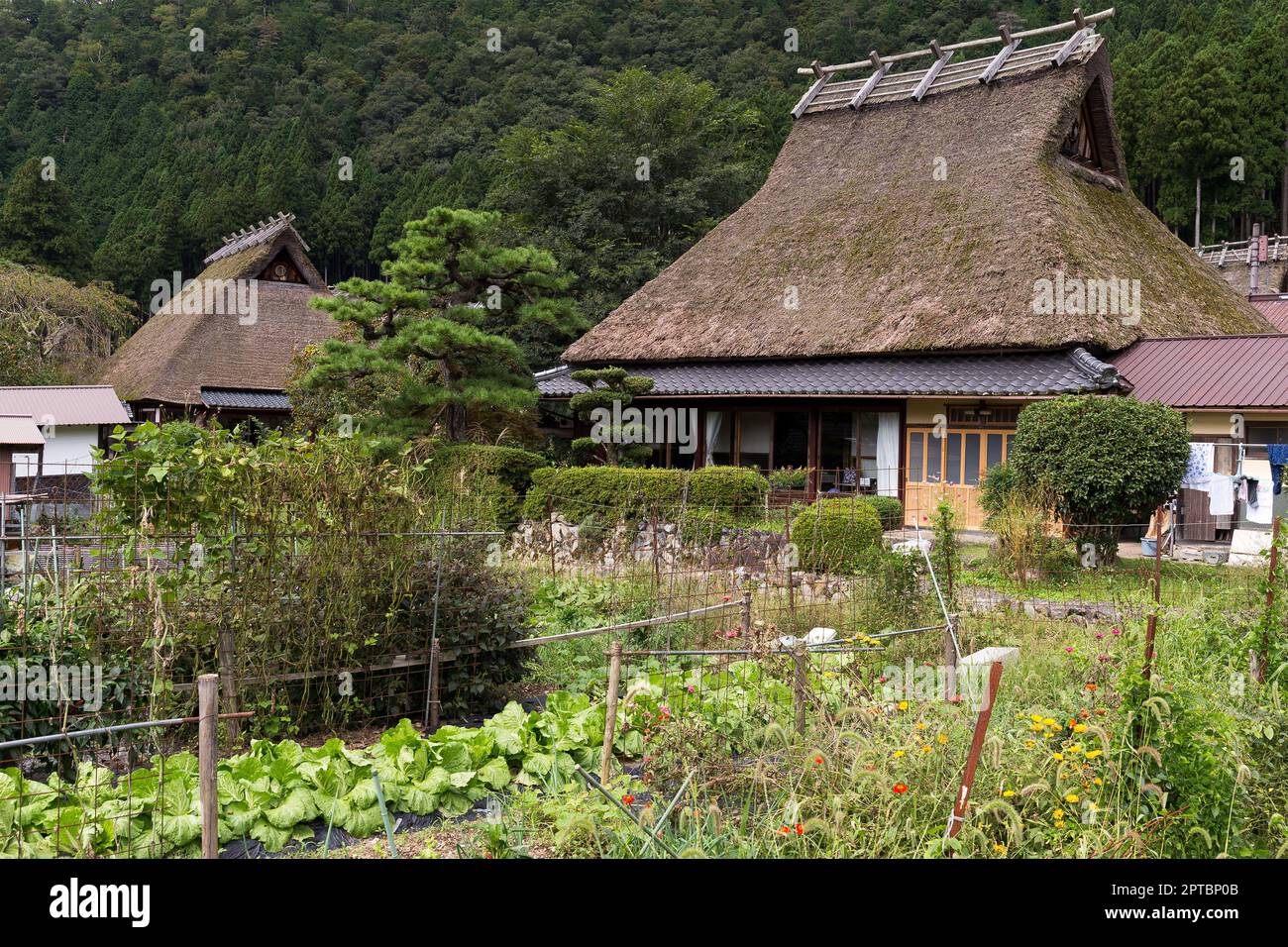 Japanese traditional old house miyama village Stock Photo - Alamy
