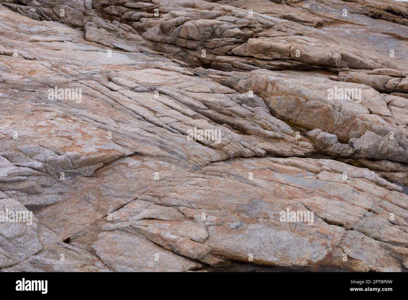 Rock stone at seaside close up Stock Photo - Alamy
