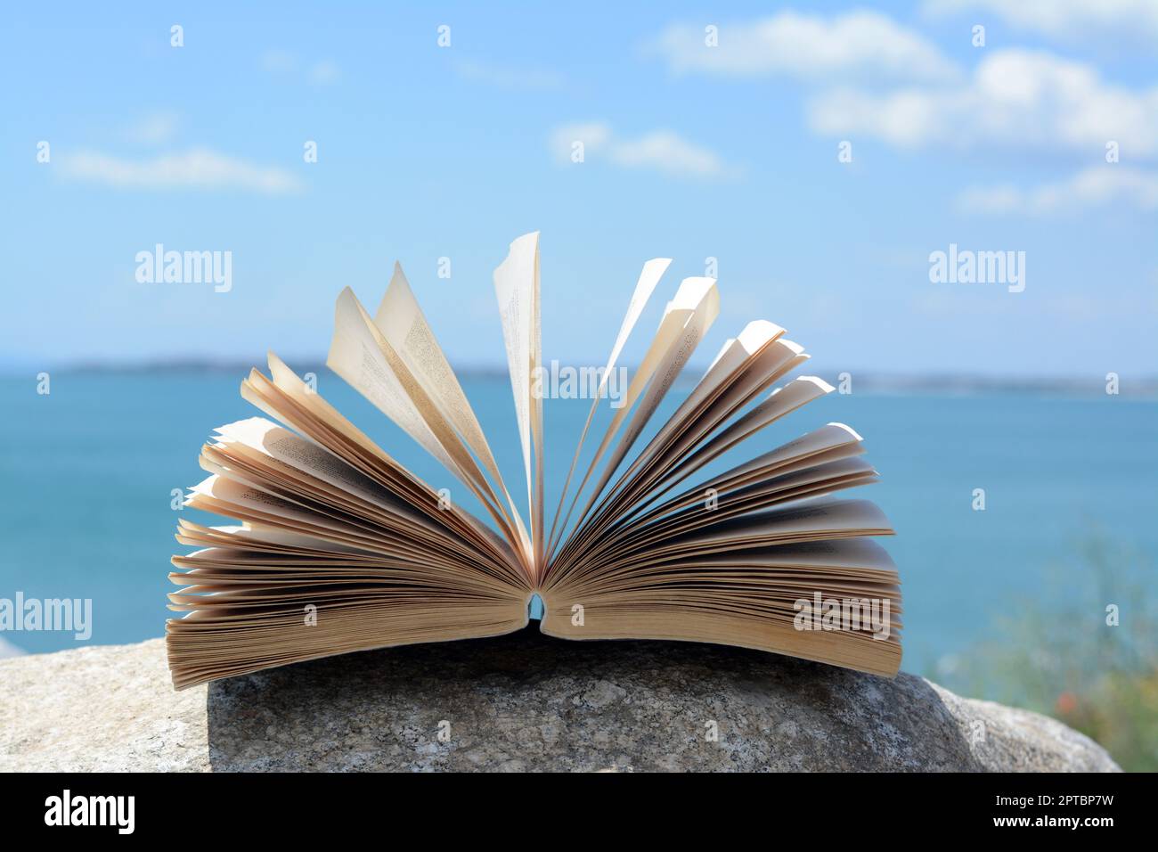 Summer literacy hi-res stock photography and images - Alamy