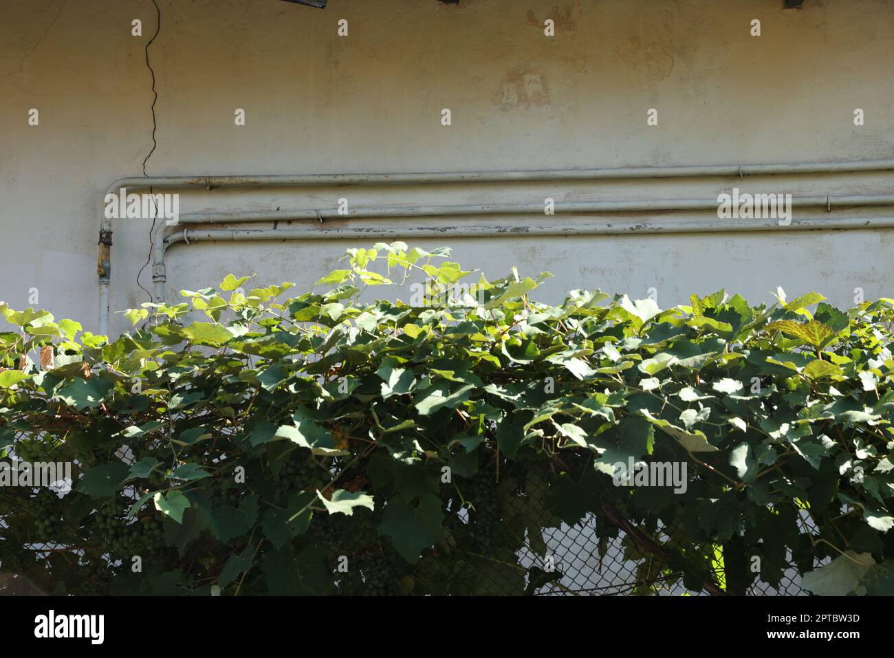 Natural gas pipes on wall hi-res stock photography and images - Alamy