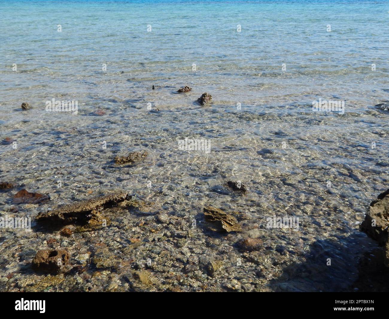 Stone texture on the Red Sea of Egypt Stock Photo - Alamy