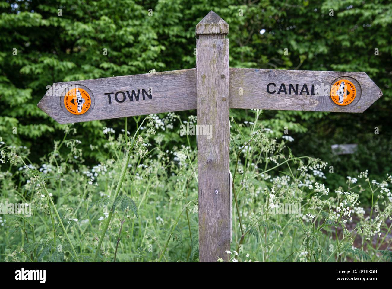 Wooden sign showing the direction to the canal and the town between ...