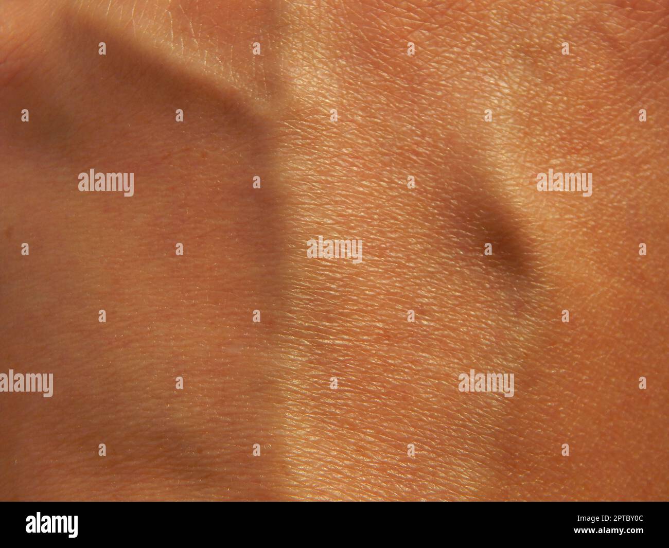 Human skin texture in various parts of the body Stock Photo - Alamy