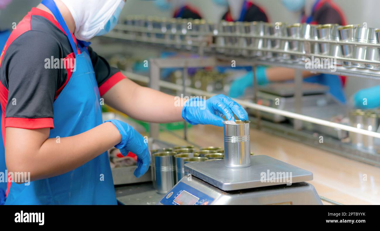 Worker working in canned food factory. Food industry. Canned fish ...