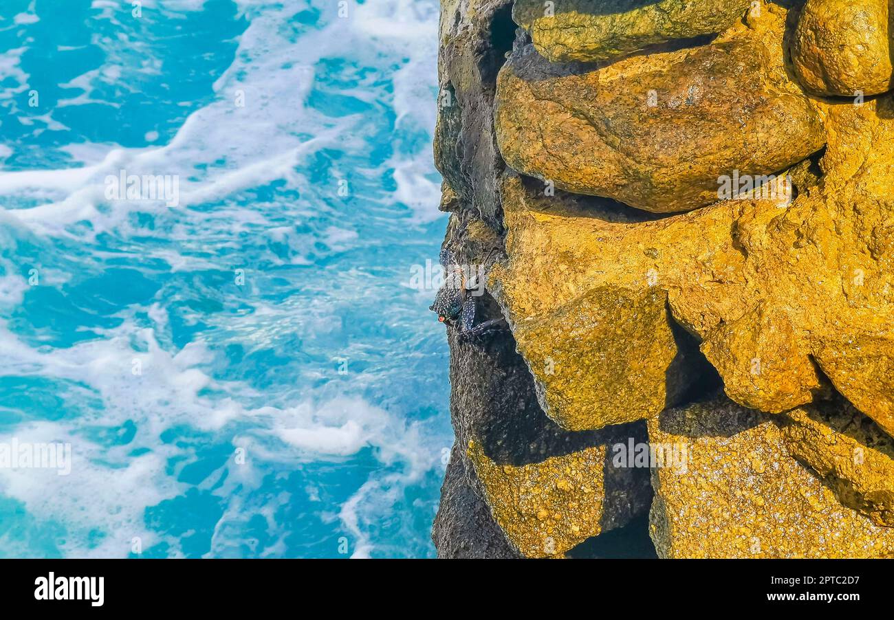 Extremely beautiful huge big surfer waves rocks cliffs stones and ...