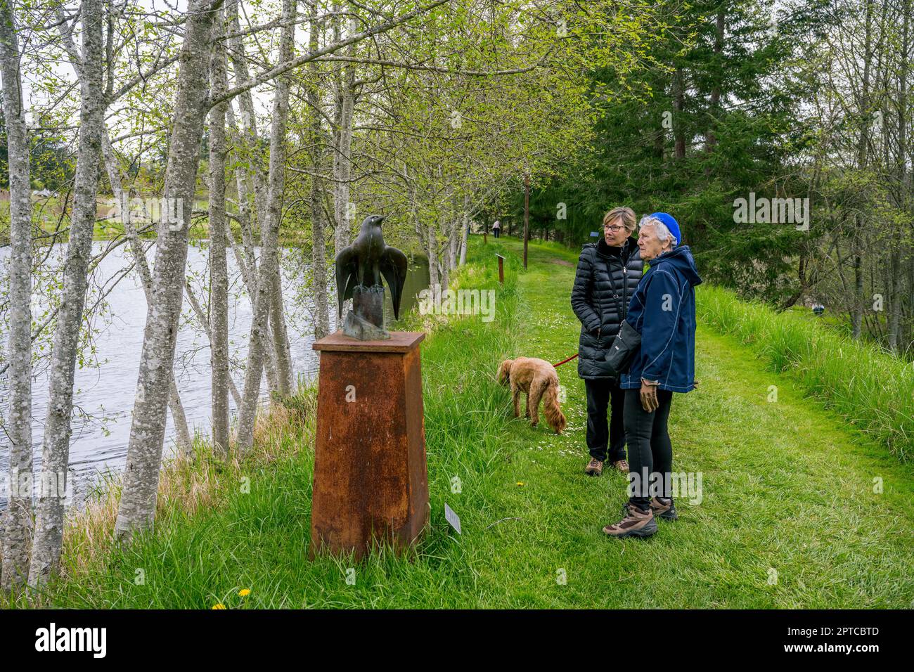 People (model released) looking at Young Hawk by Georgia Gerber at the ...