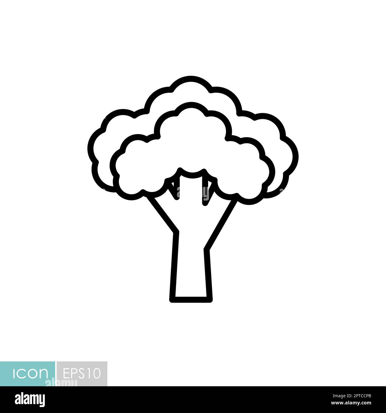Broccoli isolated design vector icon. Vegetable sign. Graph symbol for ...