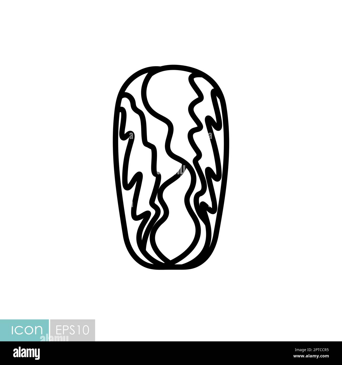 Chinese cabbage isolated vector icon. Vegetable sign. Graph symbol for ...