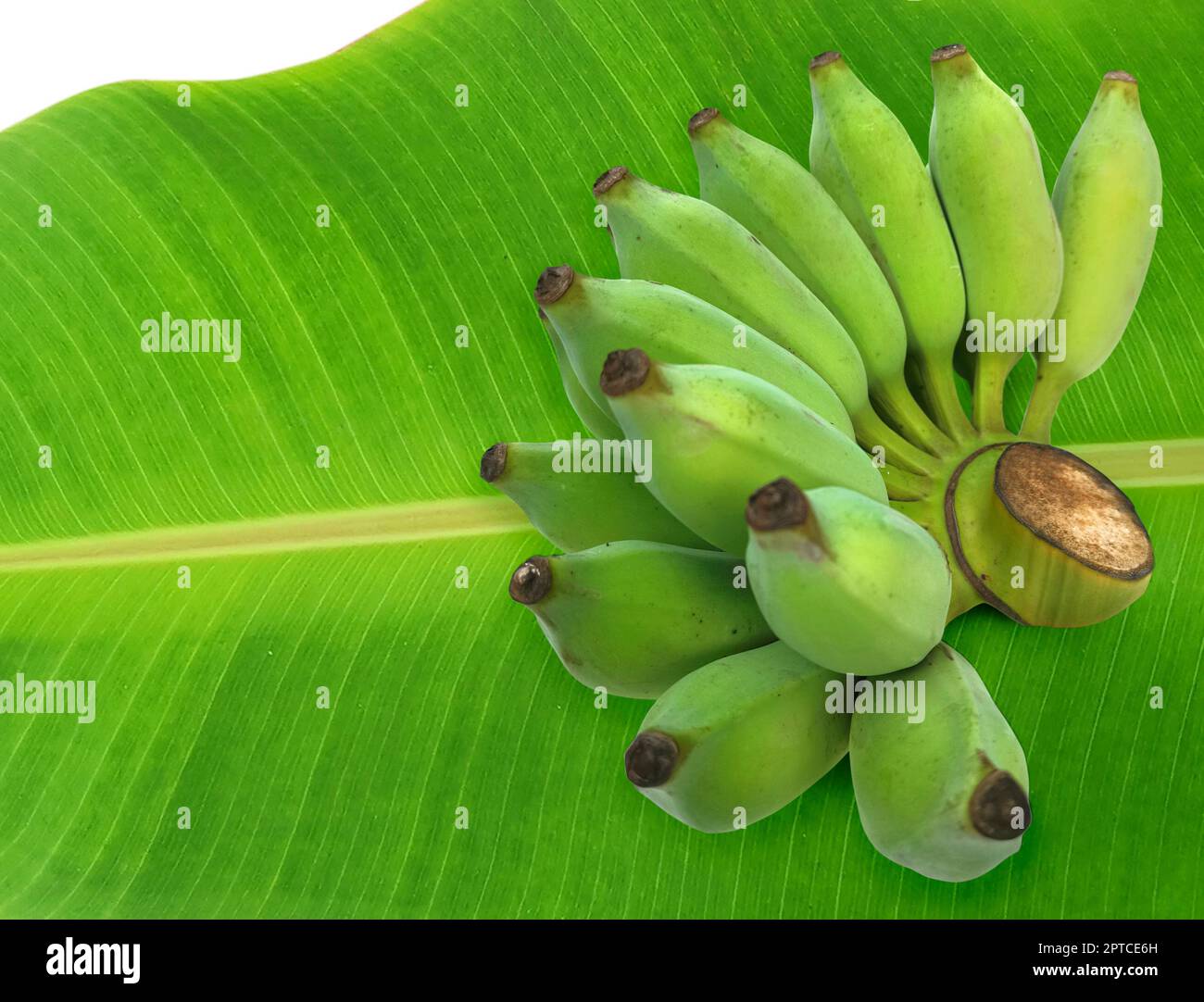 Fresh green raw banana on fresh banana leaves Stock Photo - Alamy