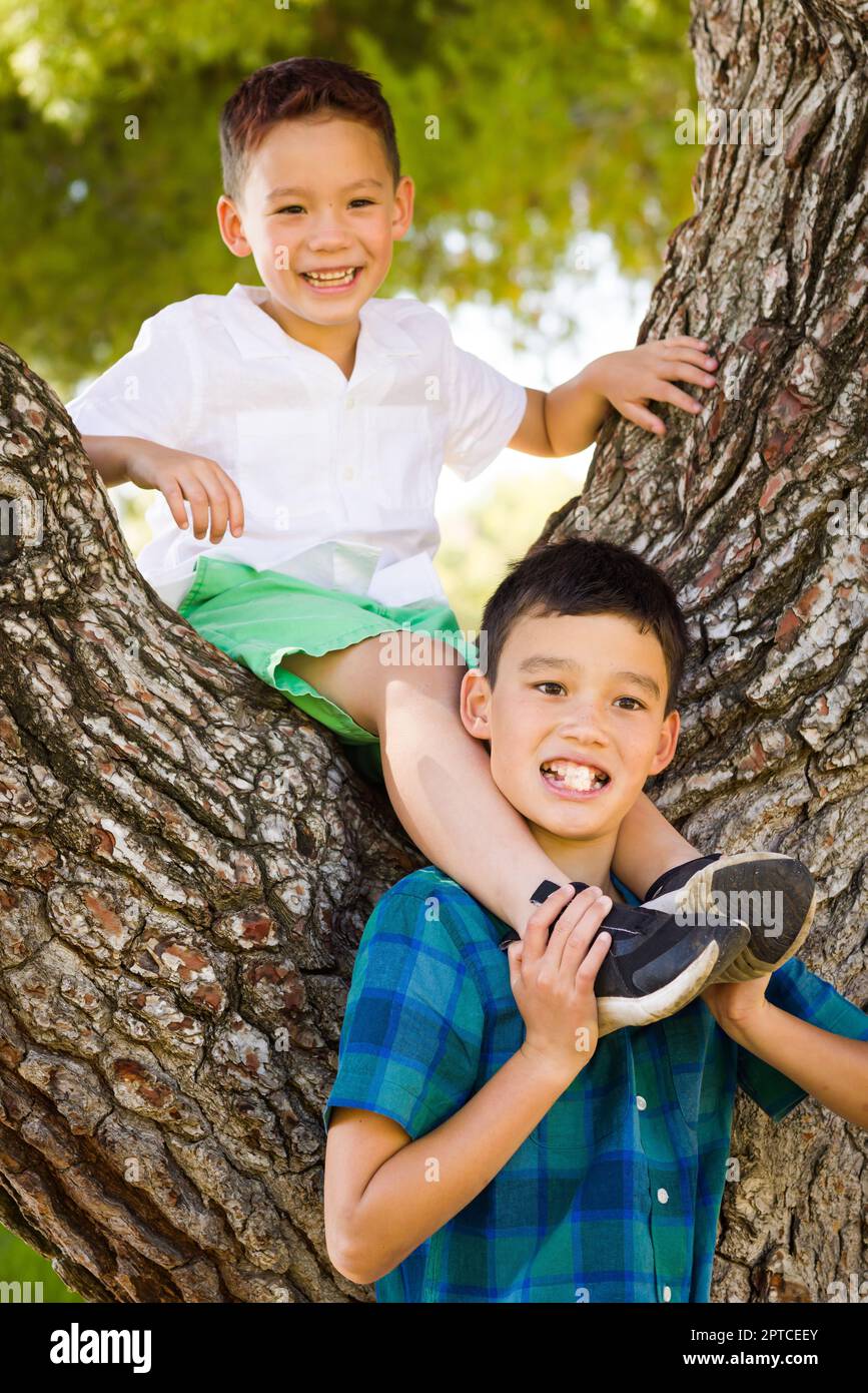 Outdoor portrait of biracial Chinese and Caucasian brothers having fun ...