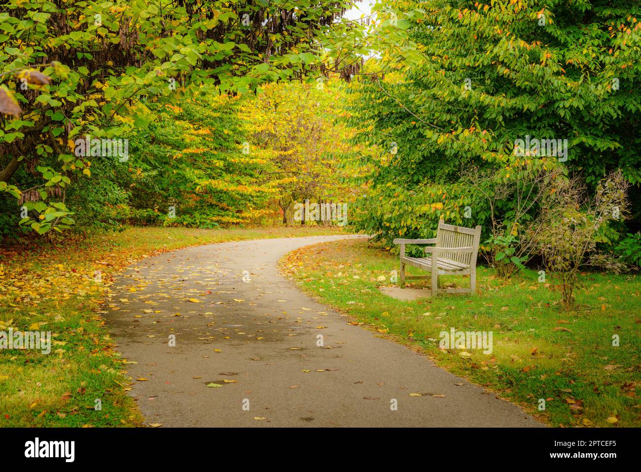 Hiking trail and a bench in Arboretum in Lexington, Kentucky in fall ...