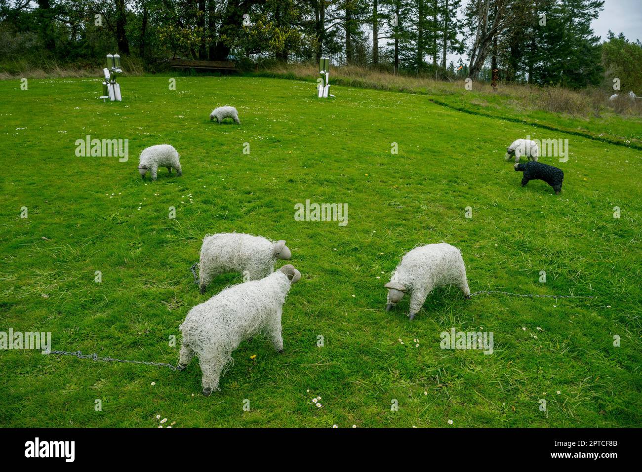 Sheep made from old fishing line at the San Juan Islands Sculpture Park ...