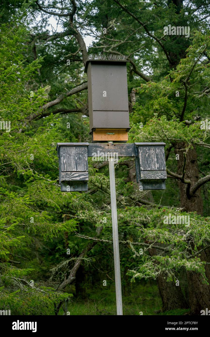 Bat houses at the English Camp, a National Historical Park on San Juan ...