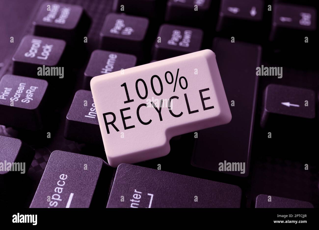 Writing displaying text 100 Percent Recycle, Business approach Set of ...