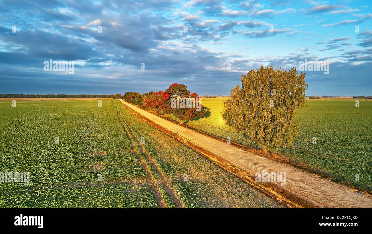 Fall colors maple trees, dirt road, agriculture fields. Autumn rural ...
