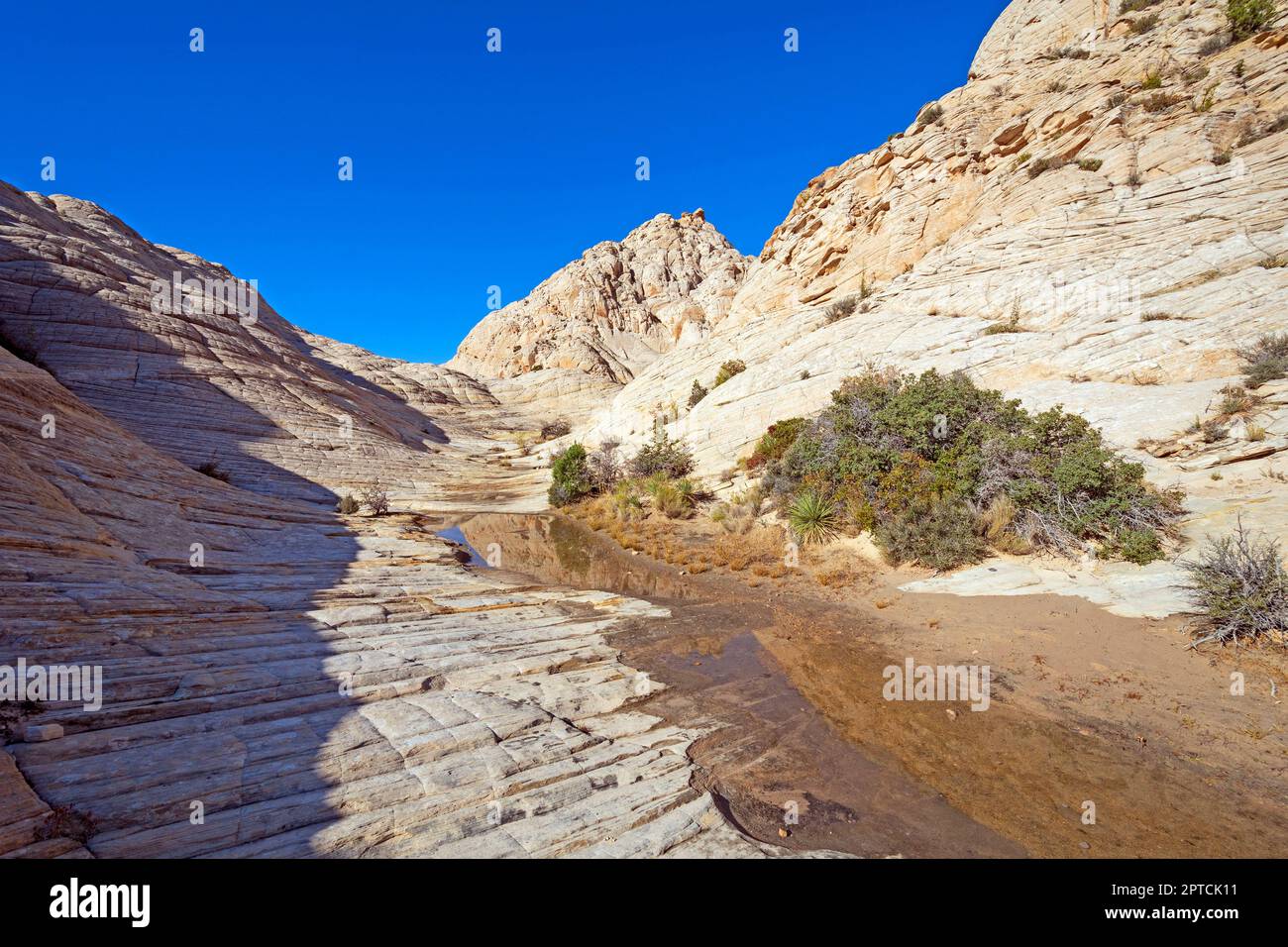 Spring Waters in a White Rock Canyon in Snow Canyon State Park in Utah ...