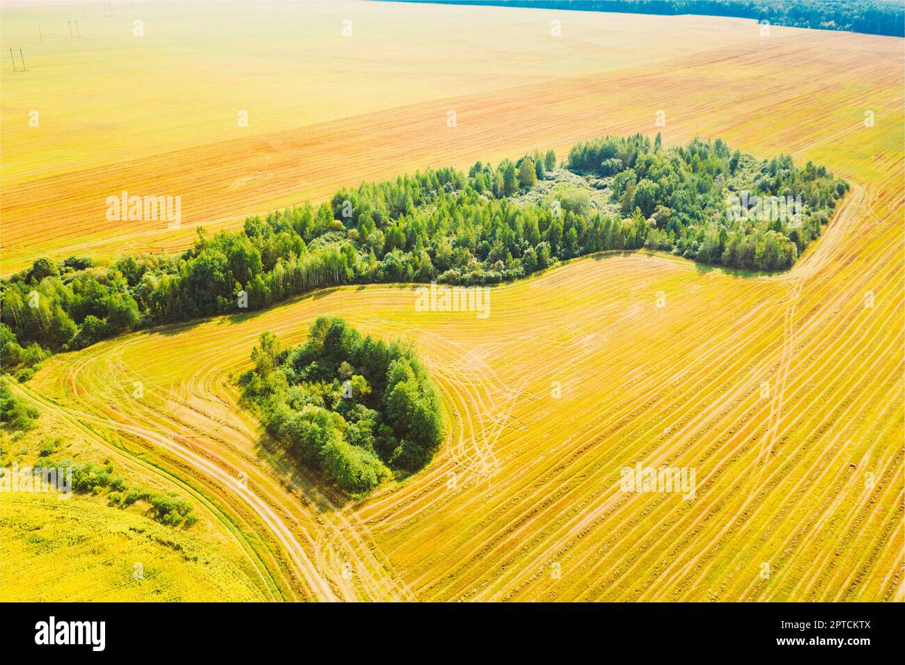 Small Green Natural Island With Green Grass, Forest In Summer Rural ...