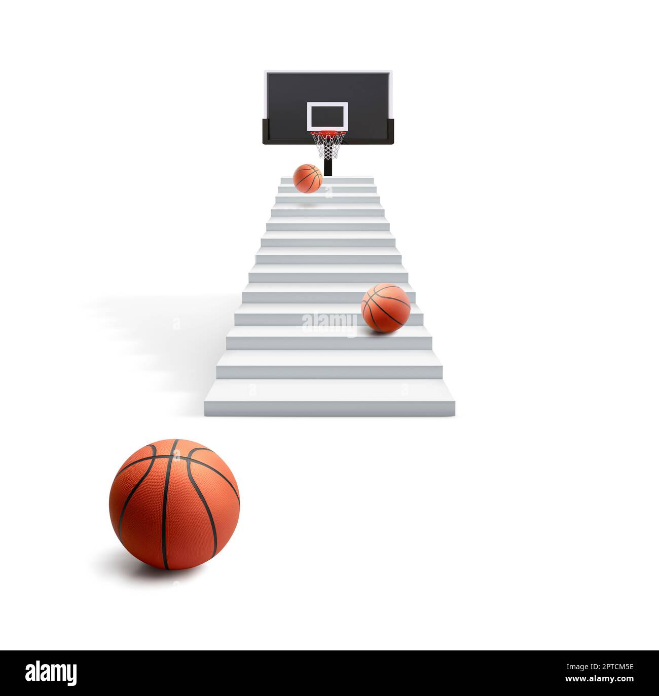 Basketball Cut Net Vector