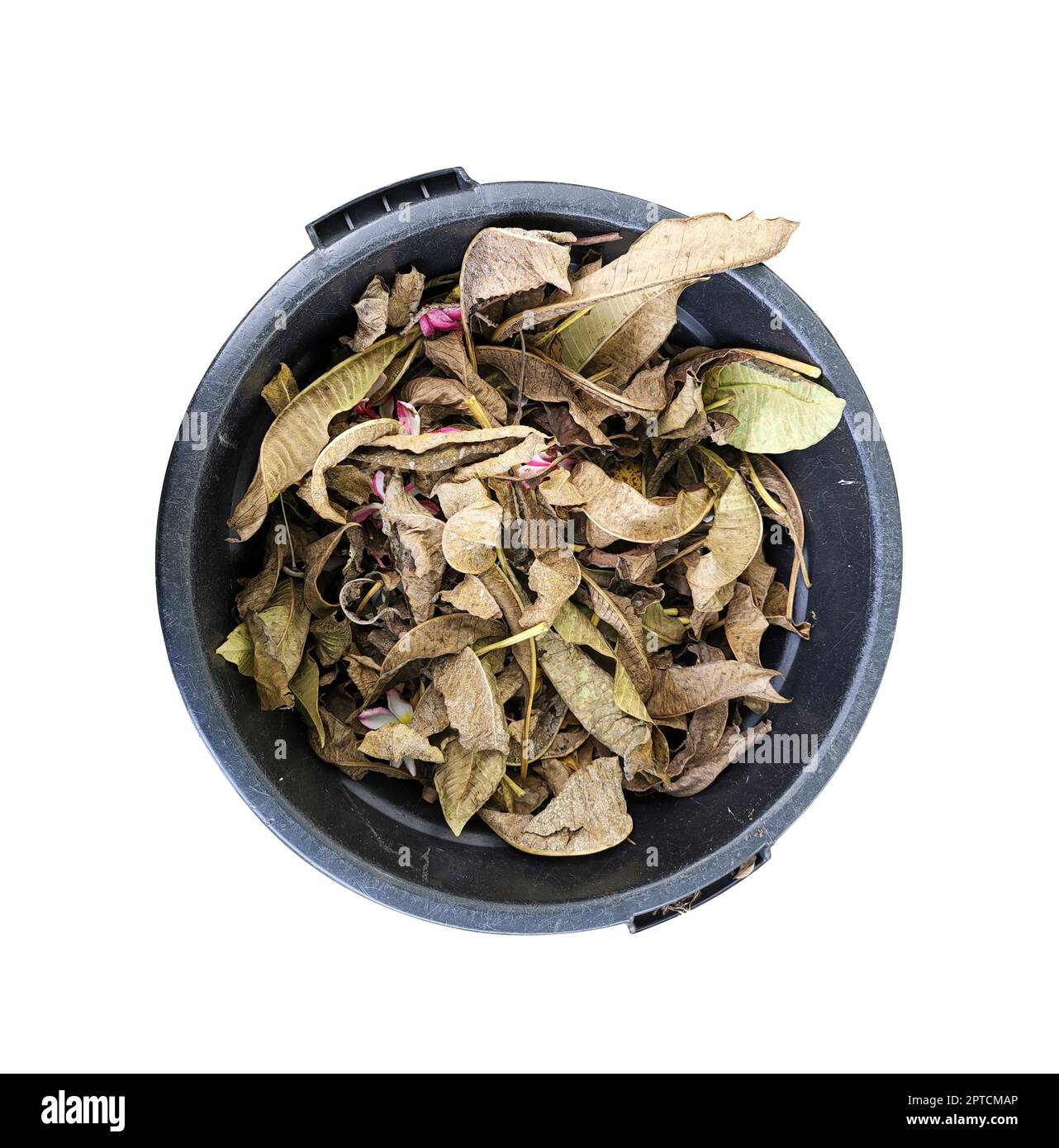 Natural garbage in trash Cut Out Stock Images & Pictures - Alamy