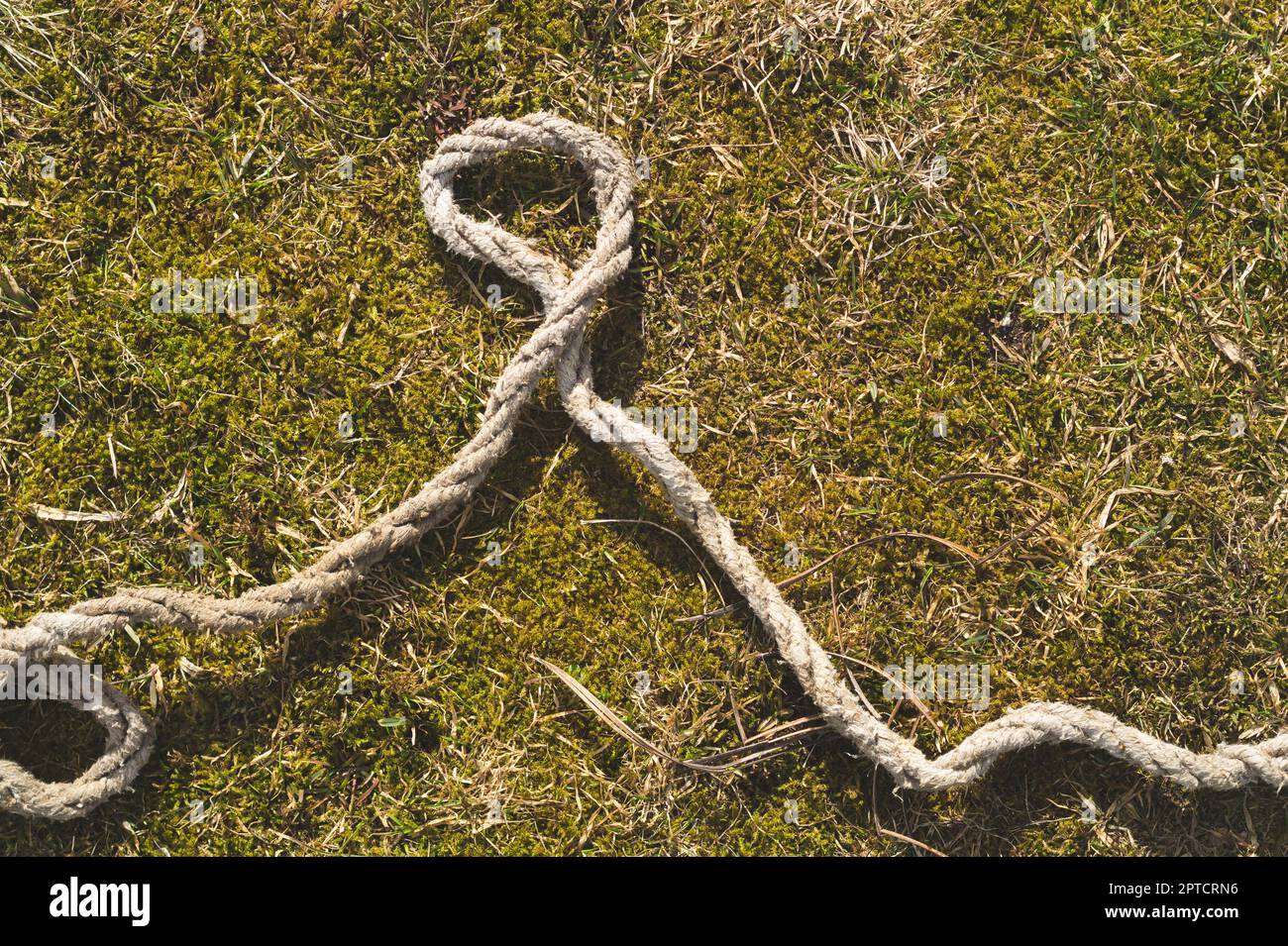Old rope lies on the green grass Stock Photo - Alamy
