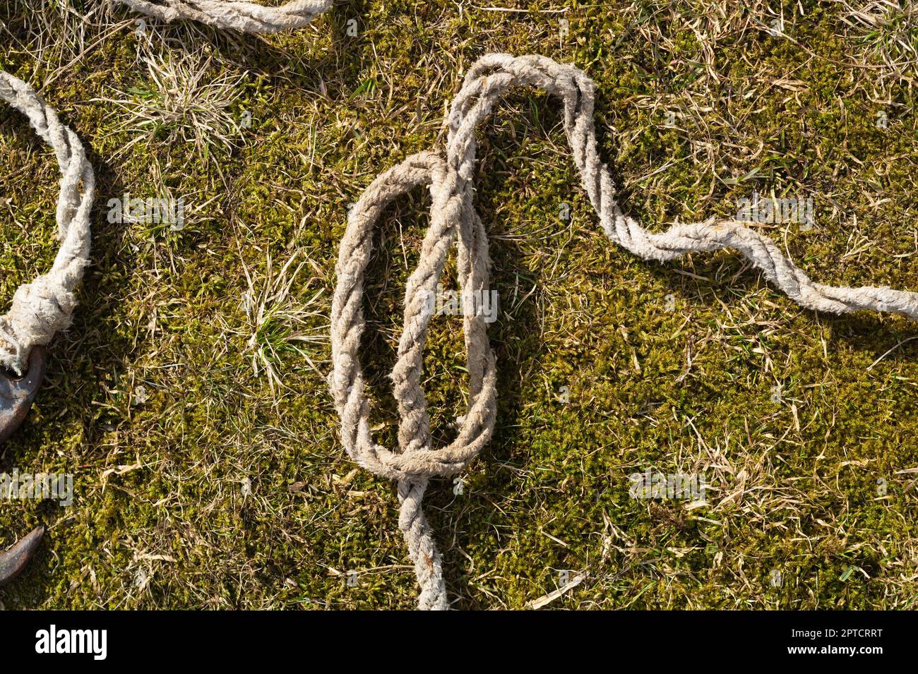 Old rope lies on the green grass. marine equipment Stock Photo - Alamy