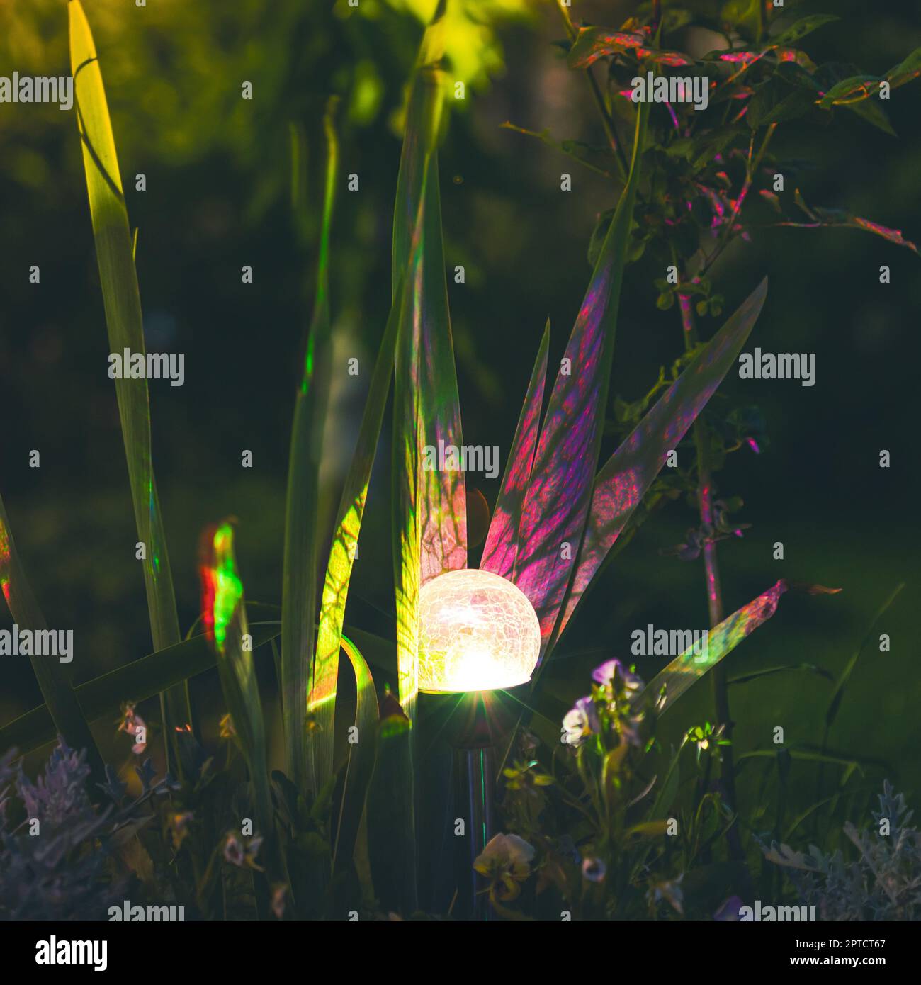 Night View Of Flowerbed Illuminated By Energy-Saving Solar Powered ...