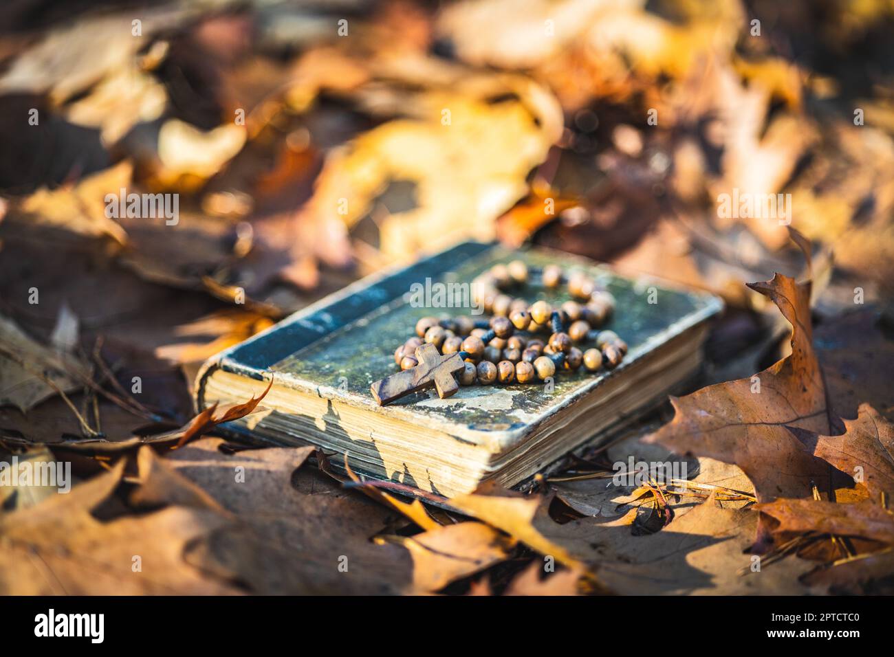 Wooden rosary beads and holy bible book lying on the autumn leaves ...