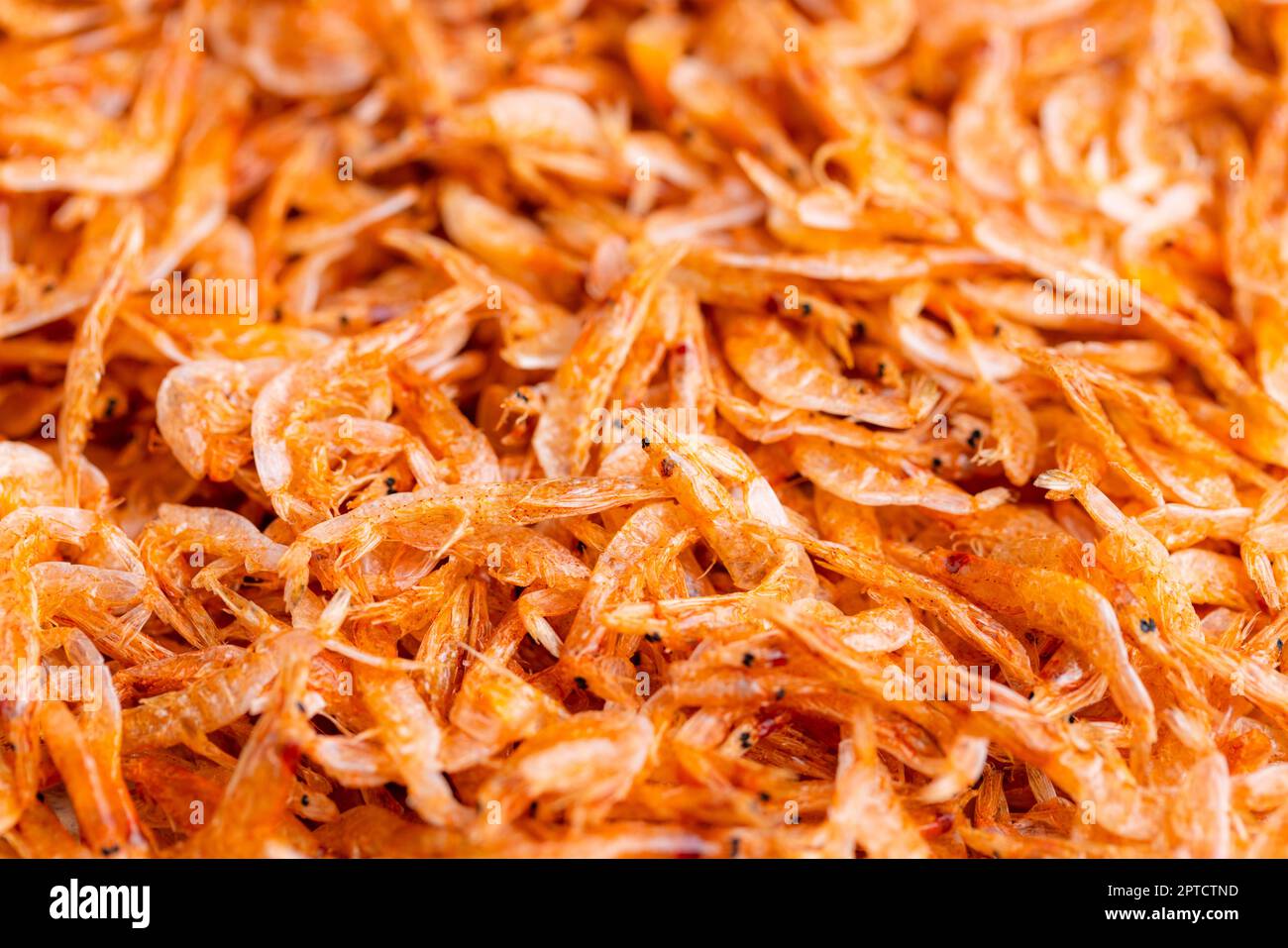 Sergestid shrimp hi-res stock photography and images - Alamy