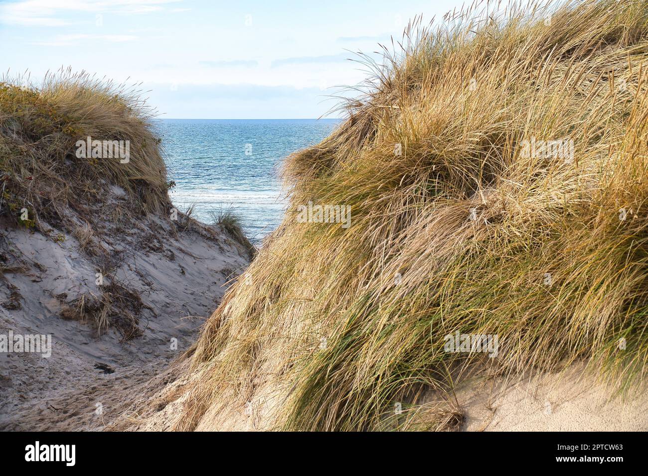 Beach crossing in Denmark by the sea. Dunes, sand water and clouds on ...