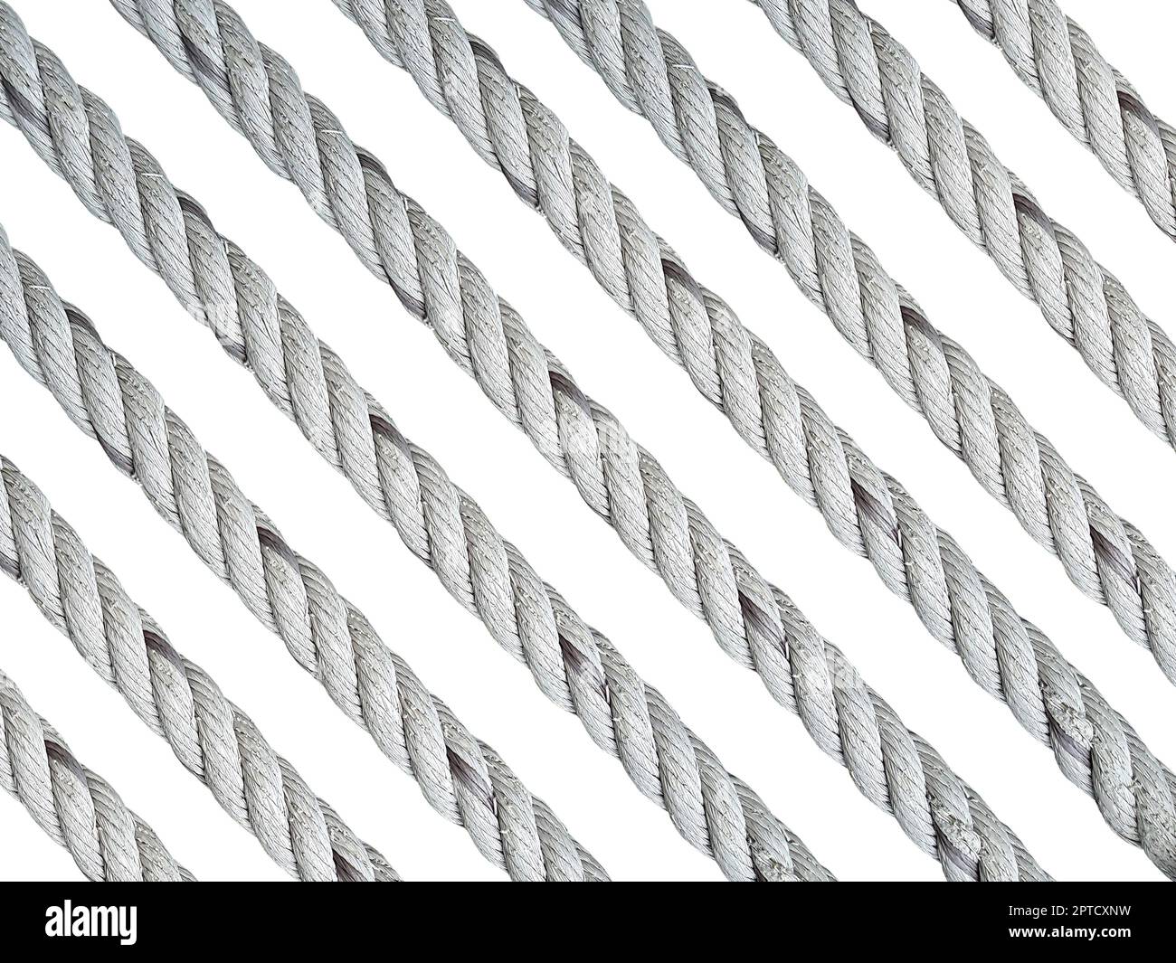 Old Ropes isolated on a white background Stock Photo - Alamy