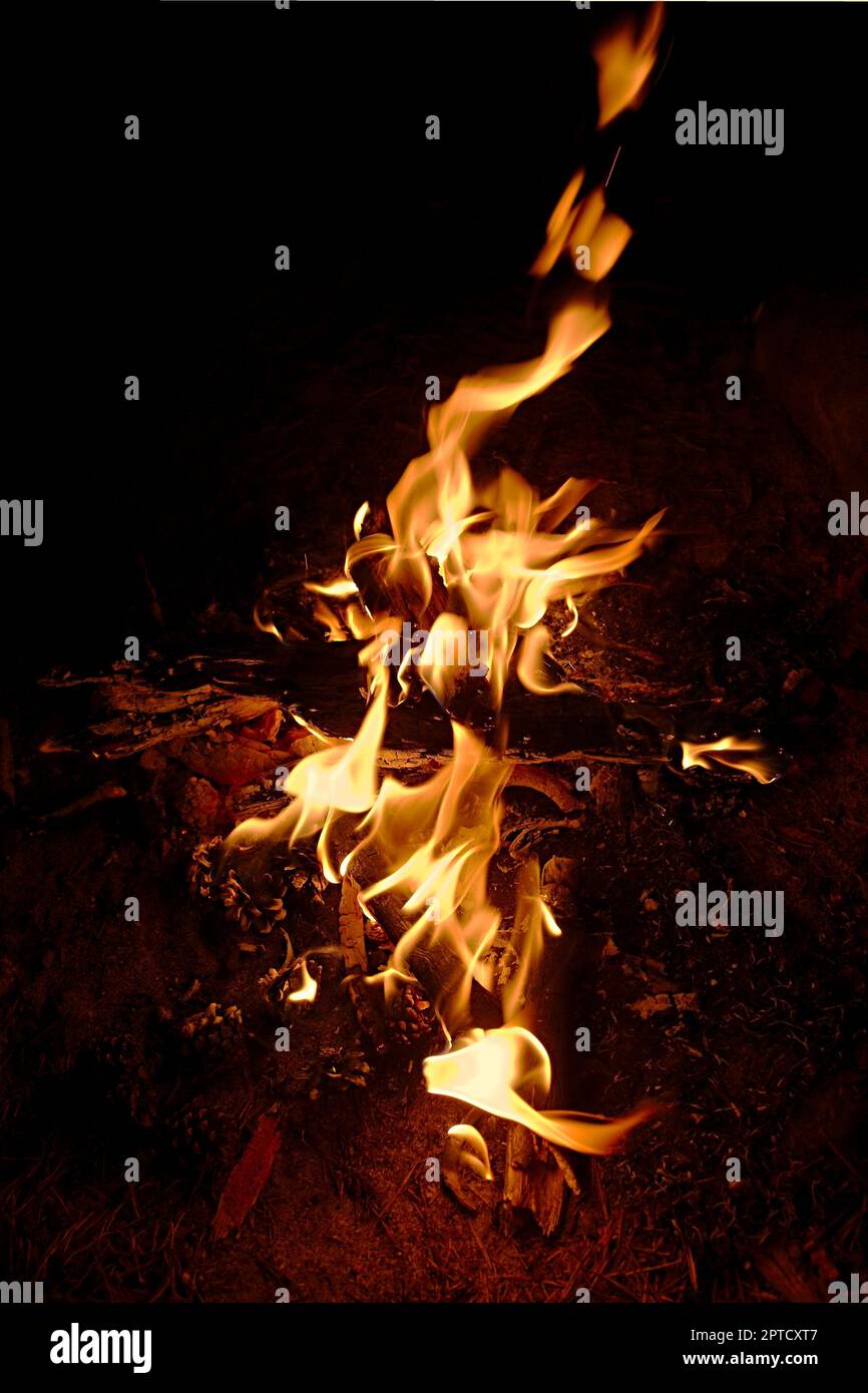 Camp fire burning in the night Stock Photo - Alamy