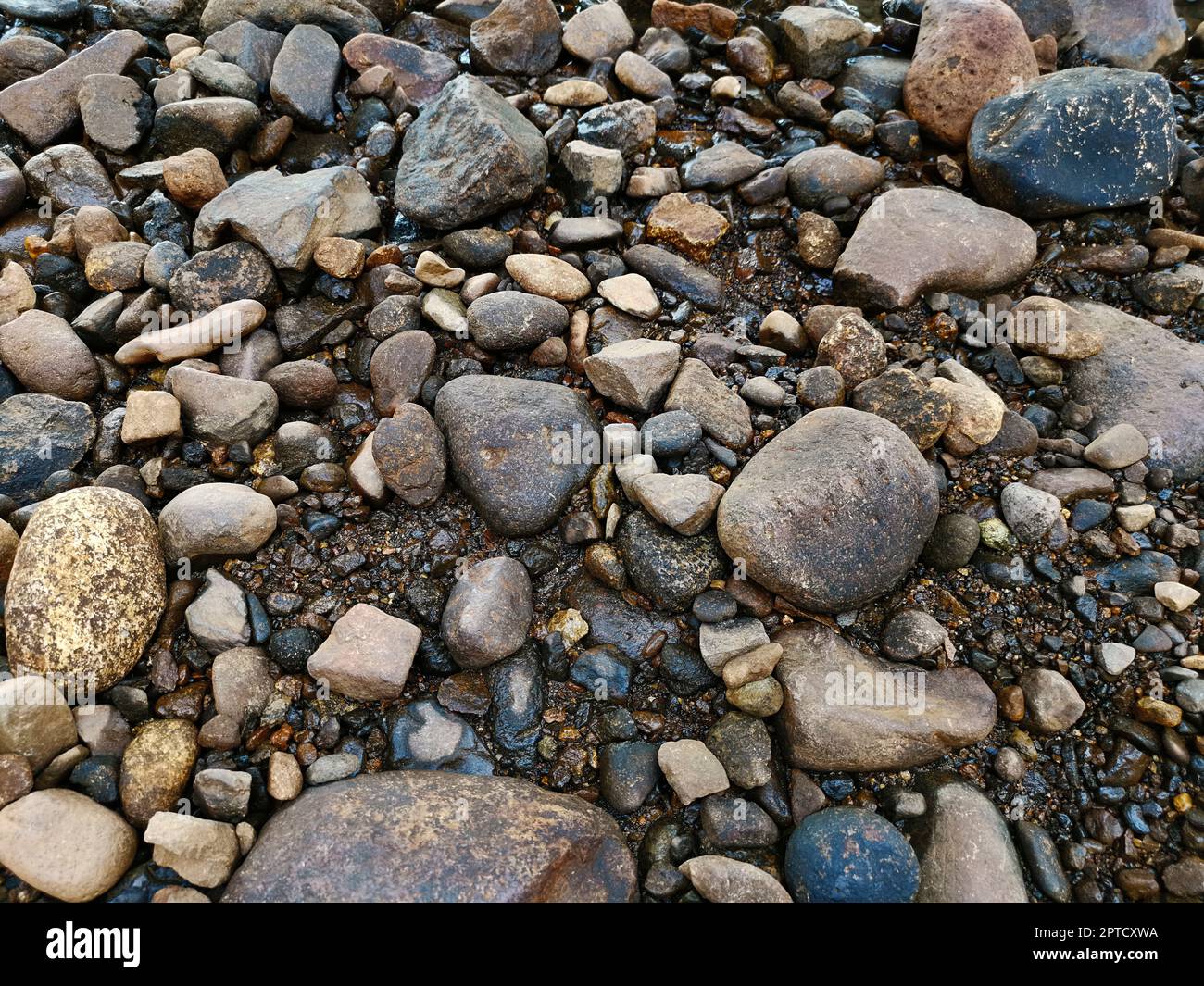 smooth River stone lies in ground near the river beach Stock Photo - Alamy