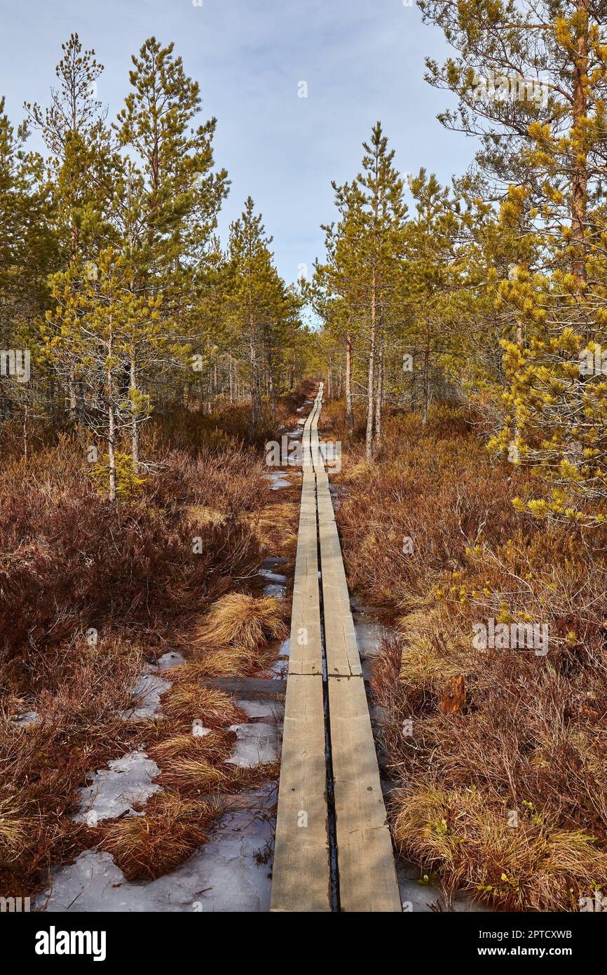 Lanscape in Finland natural area Stock Photo - Alamy
