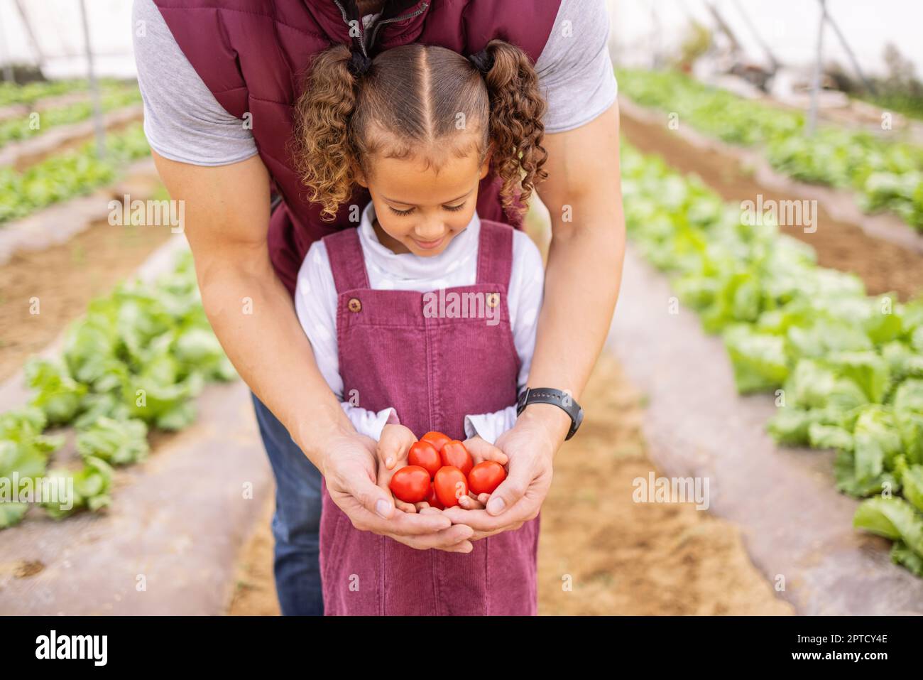 Fema for kids hi-res stock photography and images - Alamy