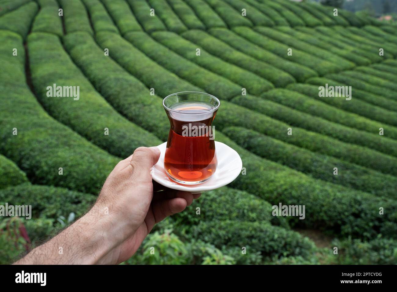 front view closeup of hand holding a traditional glass of fresh Turkish ...