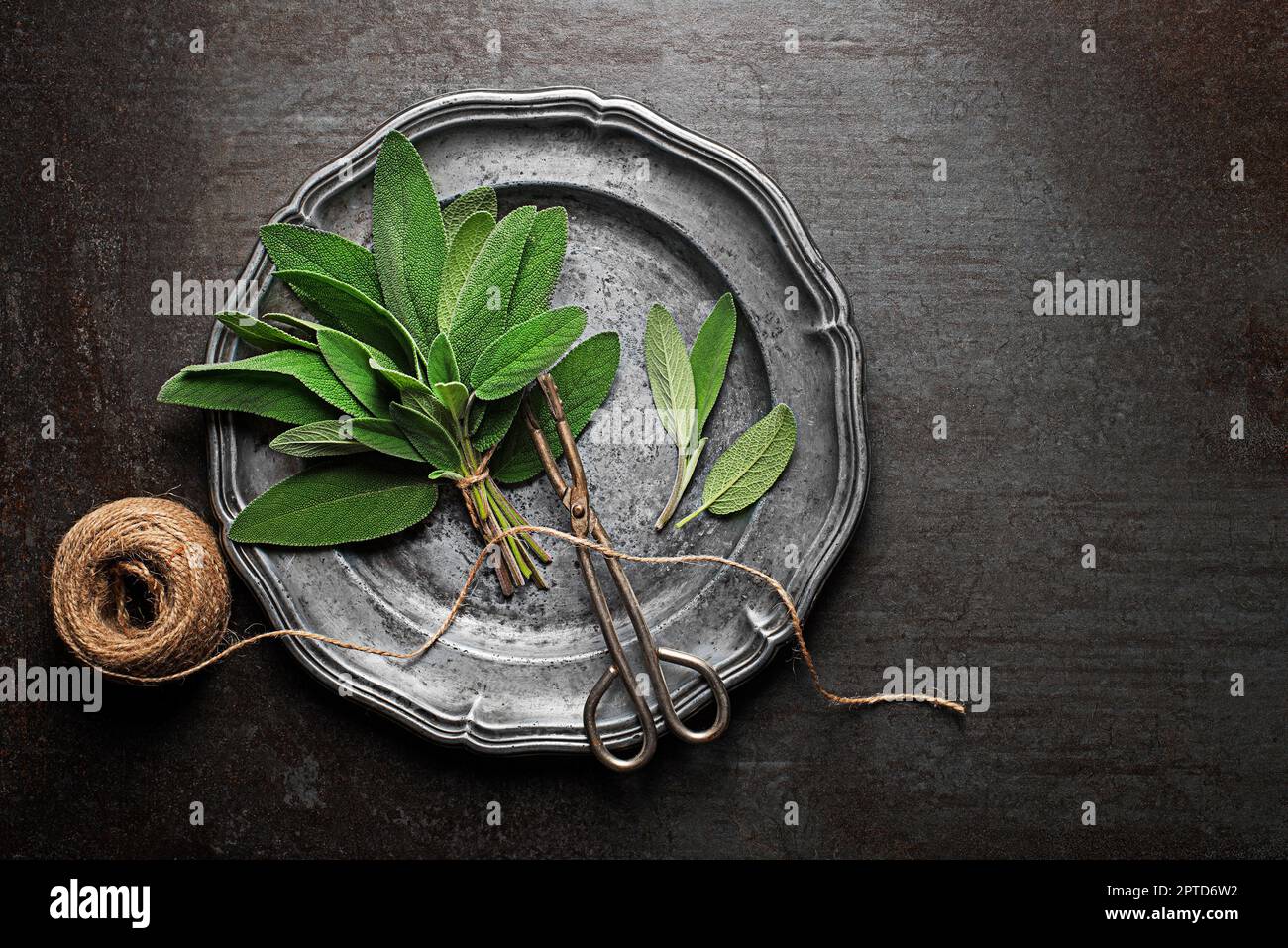 Sage leaves harvest hi-res stock photography and images - Alamy