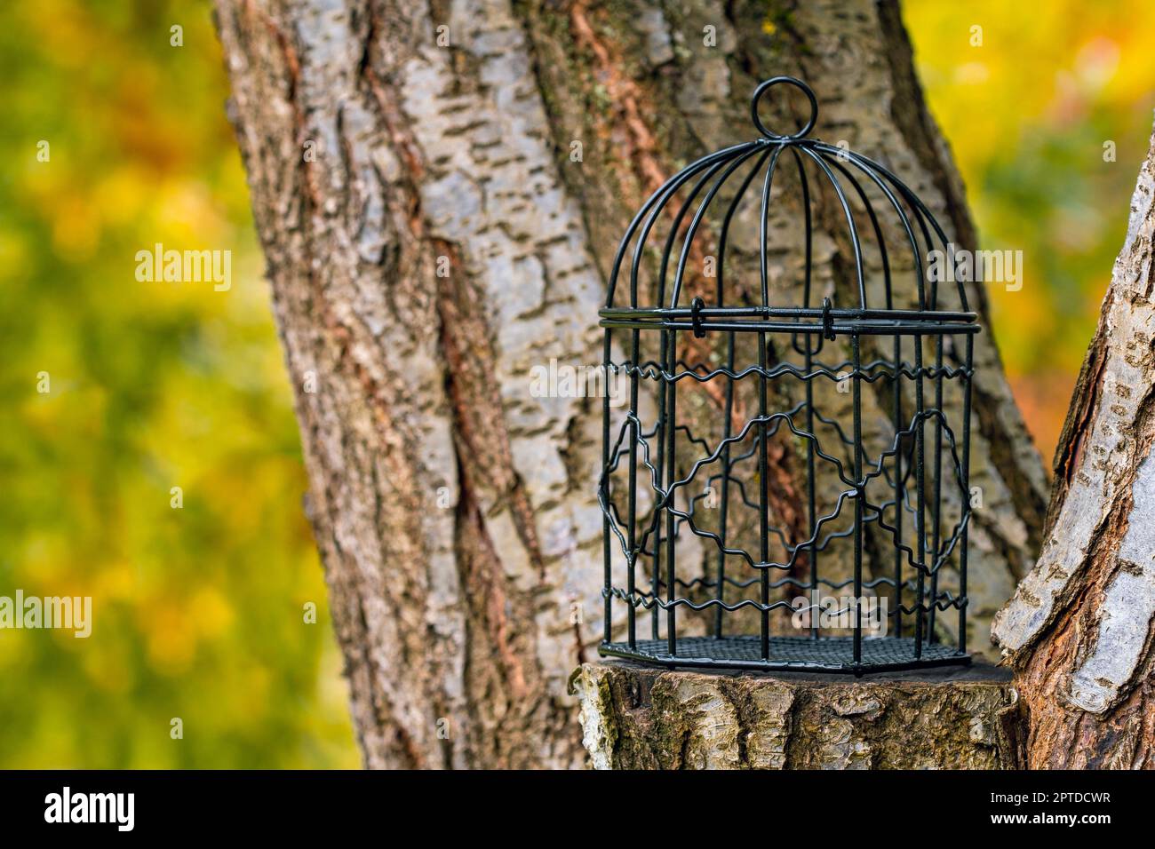 Empty garden bird cage hi-res stock photography and images - Alamy