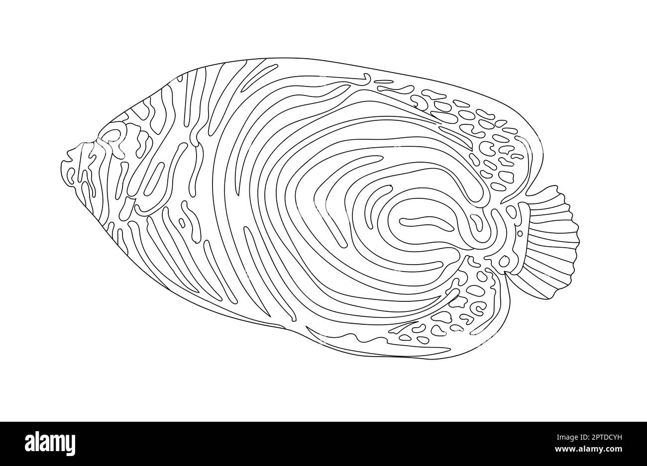 Fish exotic coloring. Antistress coloring page. Sea creatures. Ocean ...