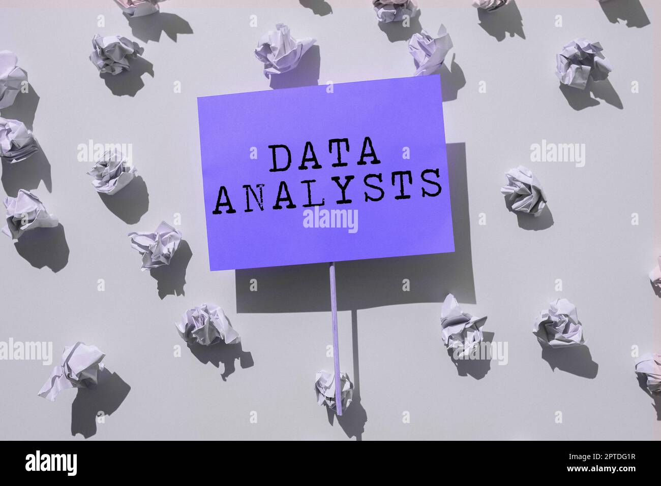 Conceptual Display Data Analysts Business Overview Programmer Design And Create Report 0380