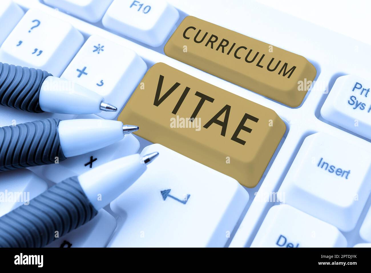 Text caption presenting Curriculum Vitae, Business approach customers ...