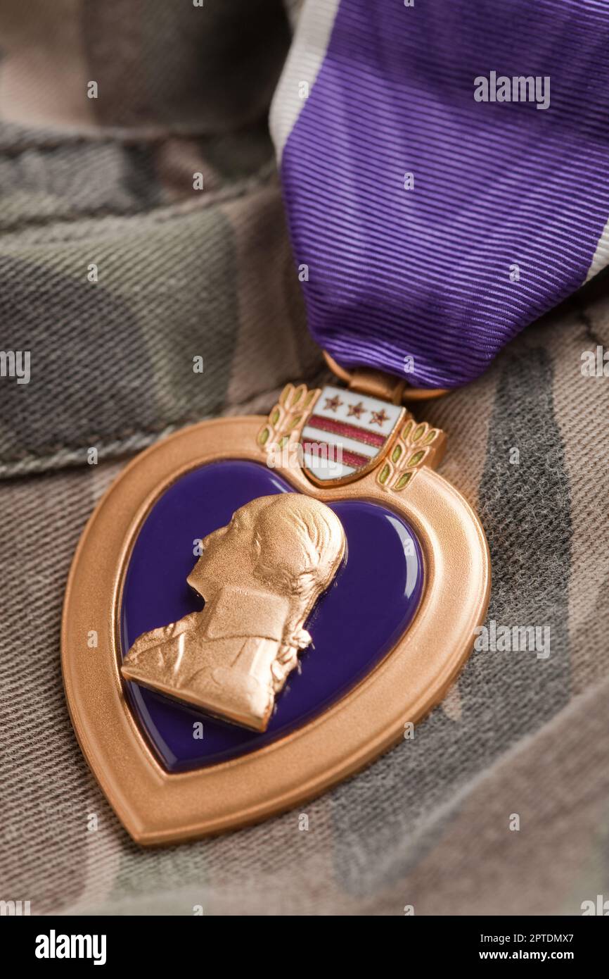 Purple Heart War Medal on Camouflage Material Stock Photo - Alamy