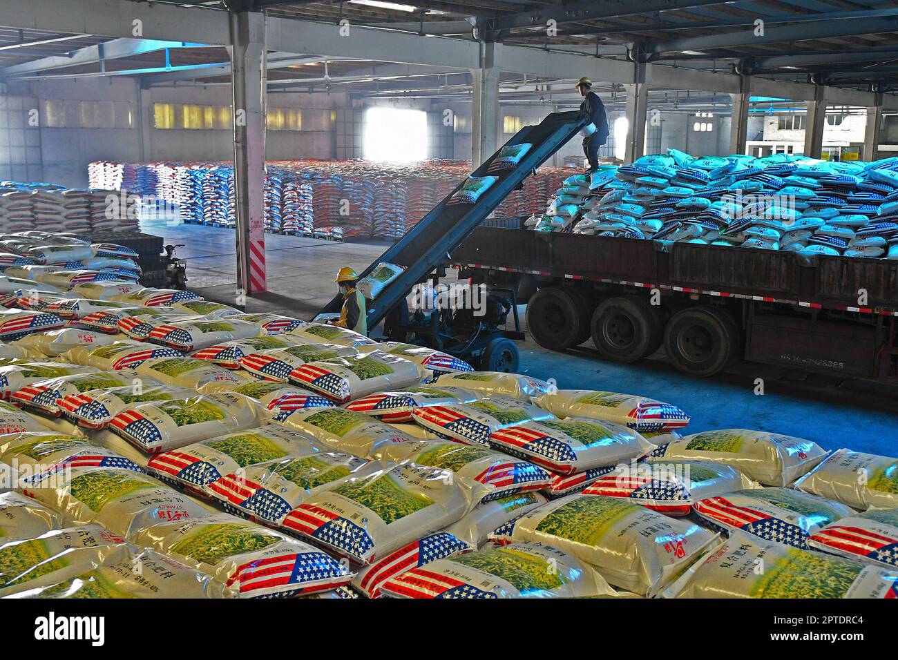 LINYI, CHINA - APRIL 26, 2023 - Workers load finished fertilizer into ...