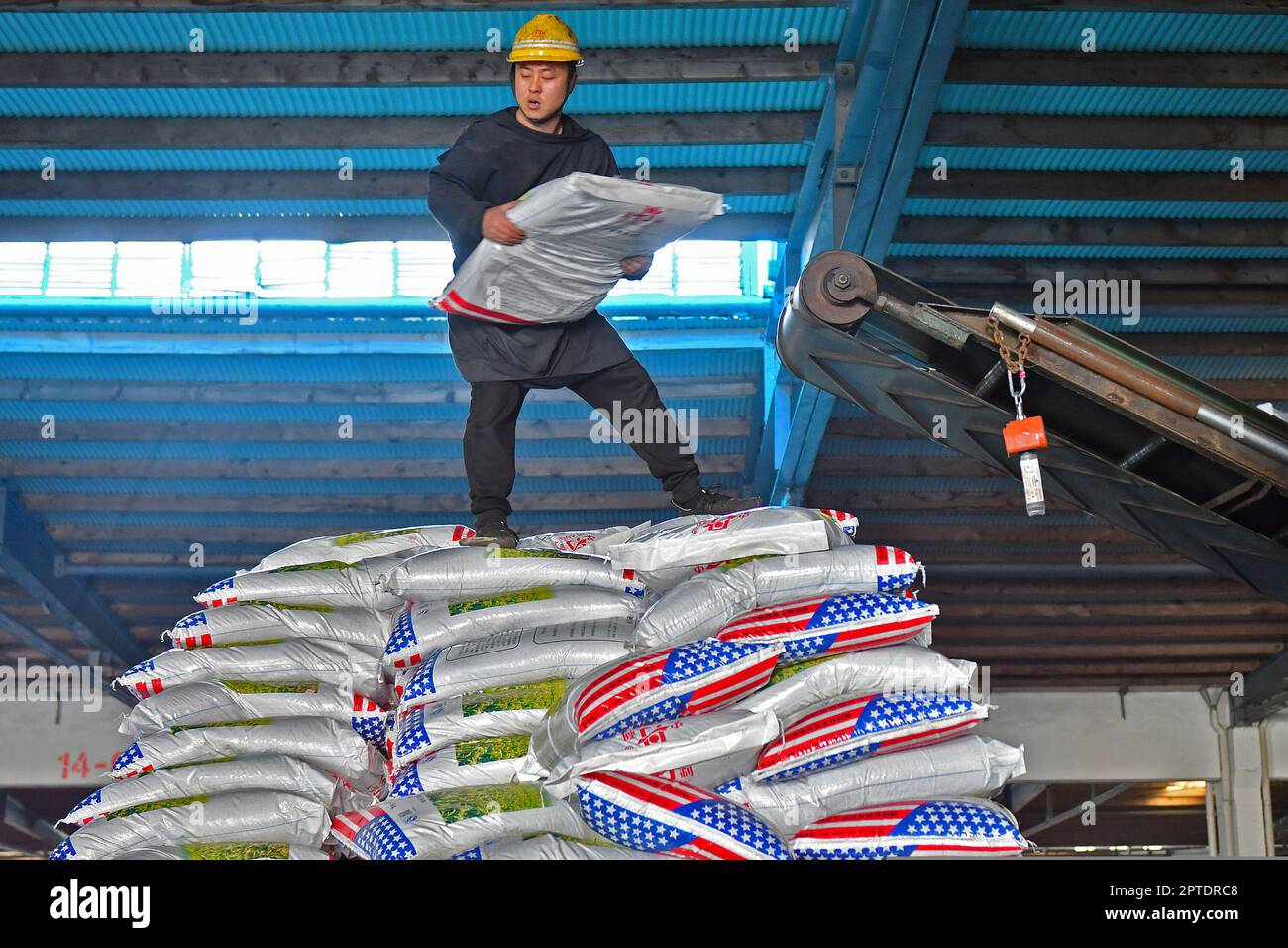 LINYI, CHINA - APRIL 26, 2023 - Workers load finished fertilizer into ...