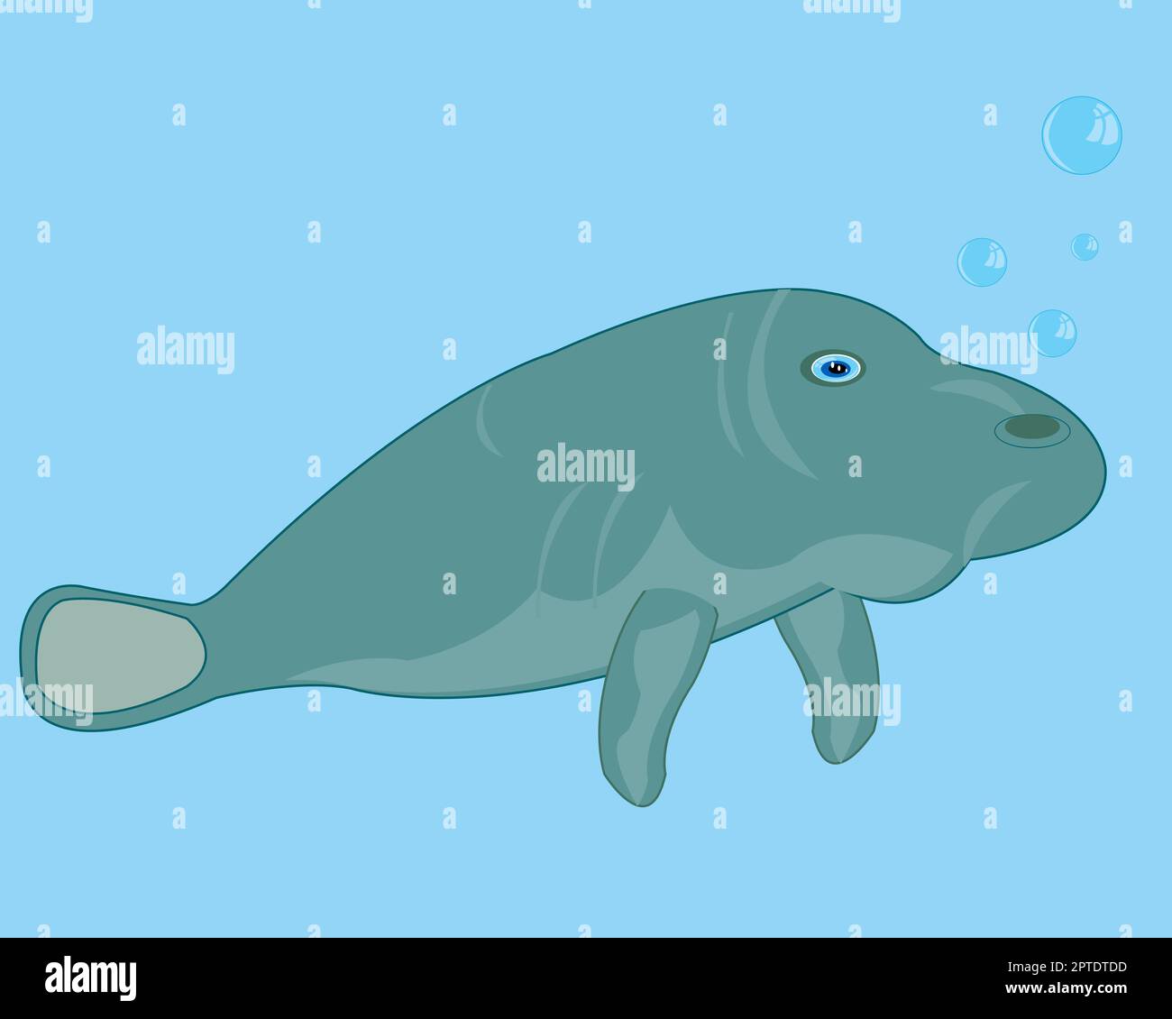 Vector illustration water mammal sea cow seaborne Stock Photo - Alamy