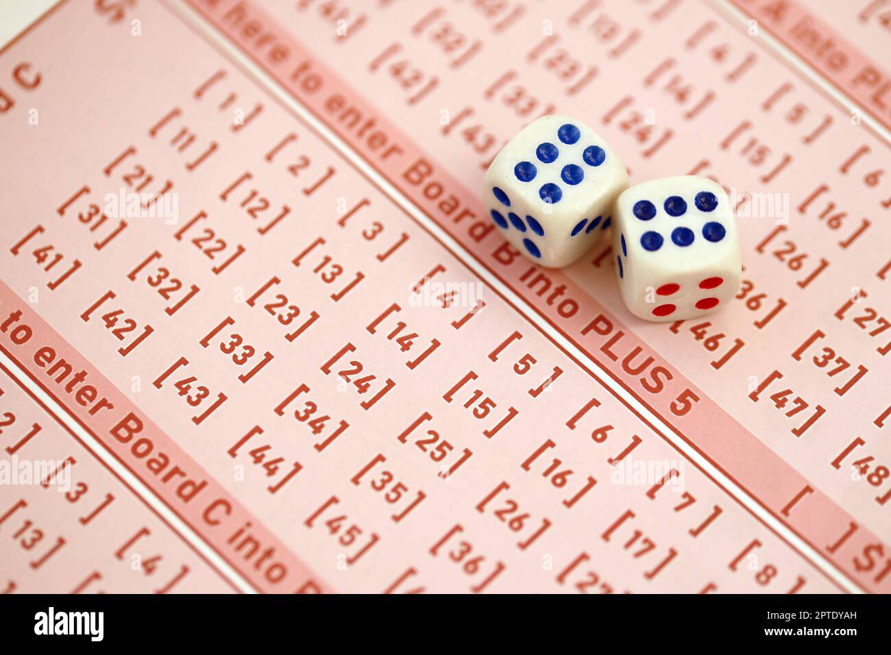 Dice cubes lies on pink gambling sheets with numbers for marking to ...
