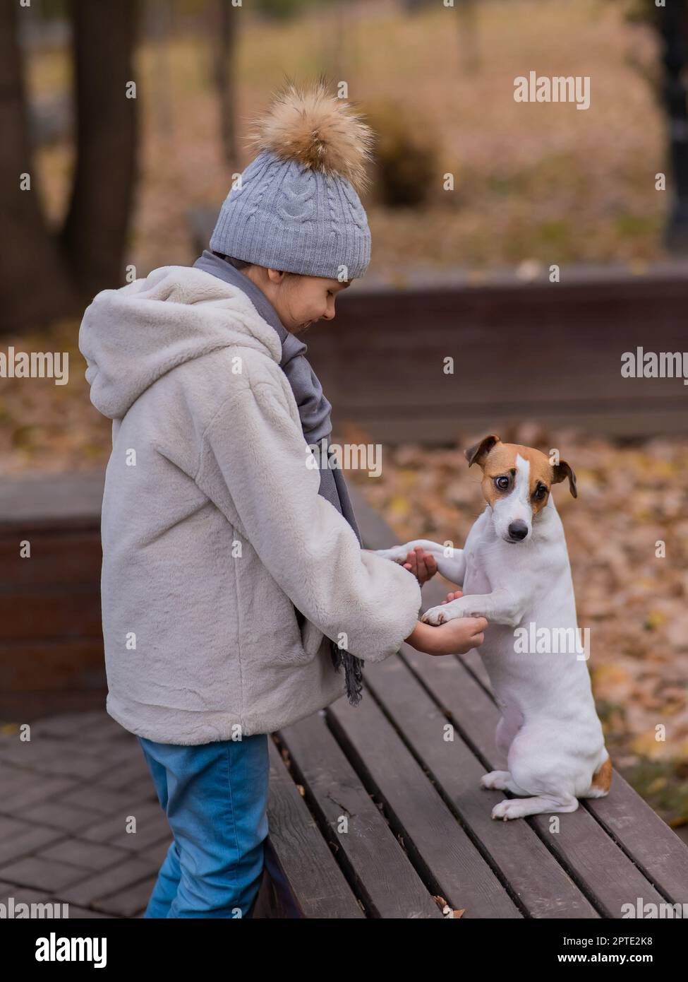 Caucasian girl holding a dog by the paws for a walk in the autumn park ...