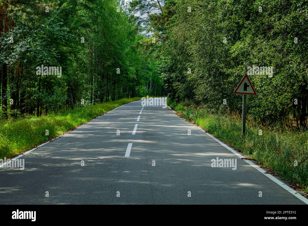Two-lane asphalt road with white markings in the forest. Asphalt ...