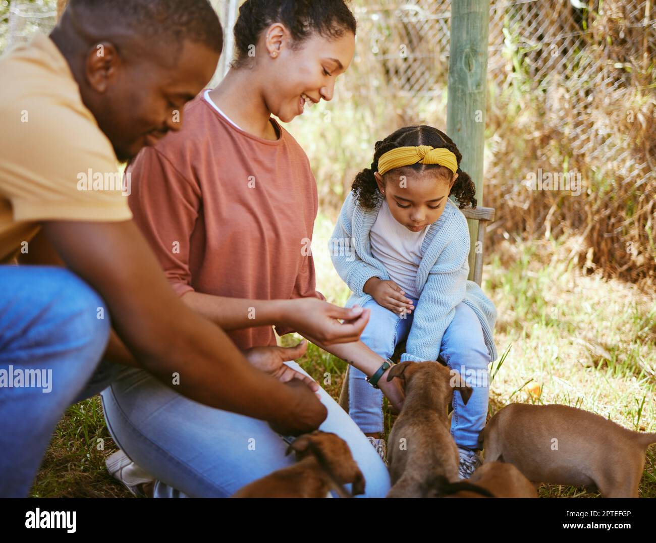 Black family, mother and father with child, puppies and playful ...